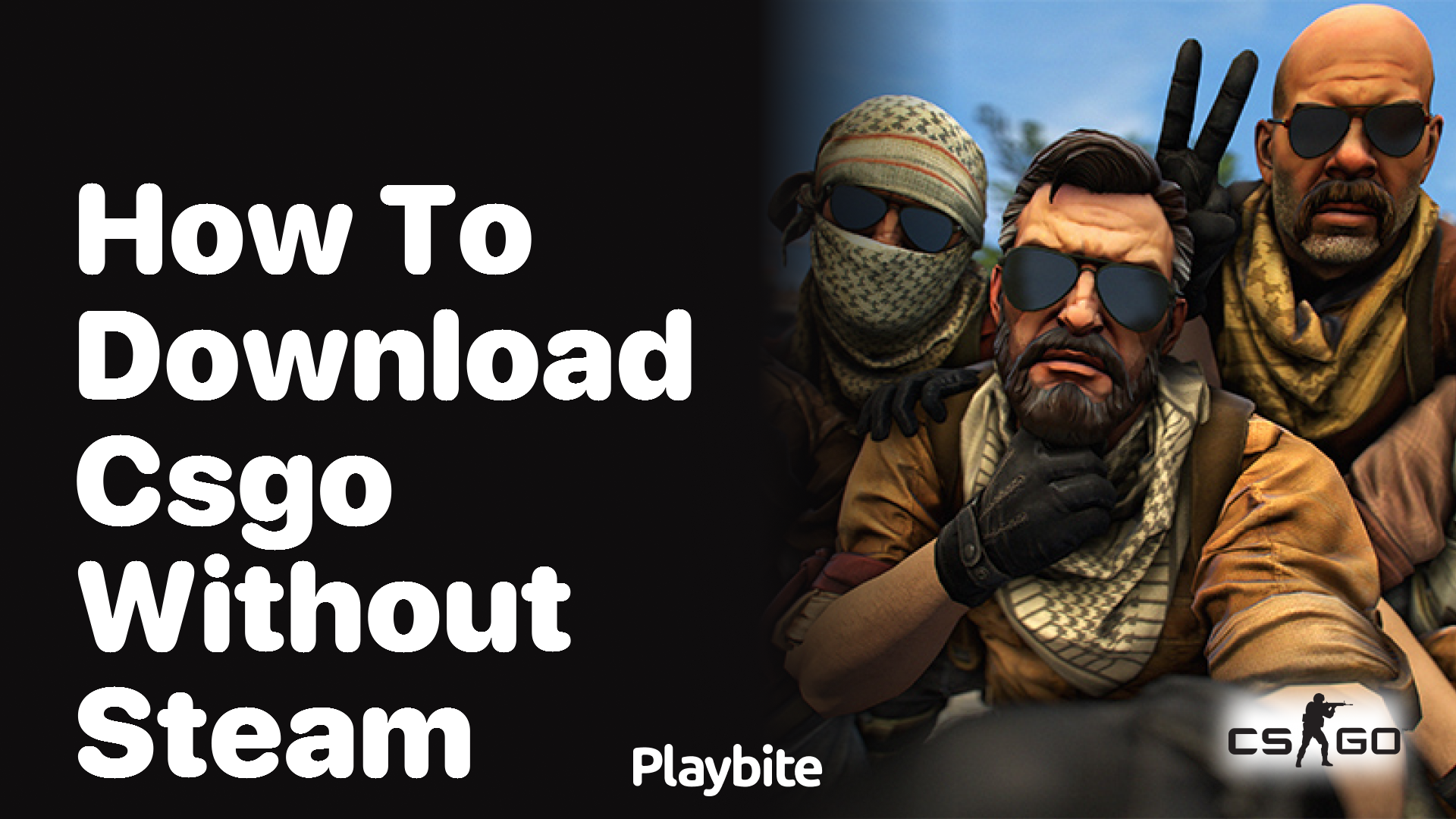 How to Download CSGO Without Steam - Playbite