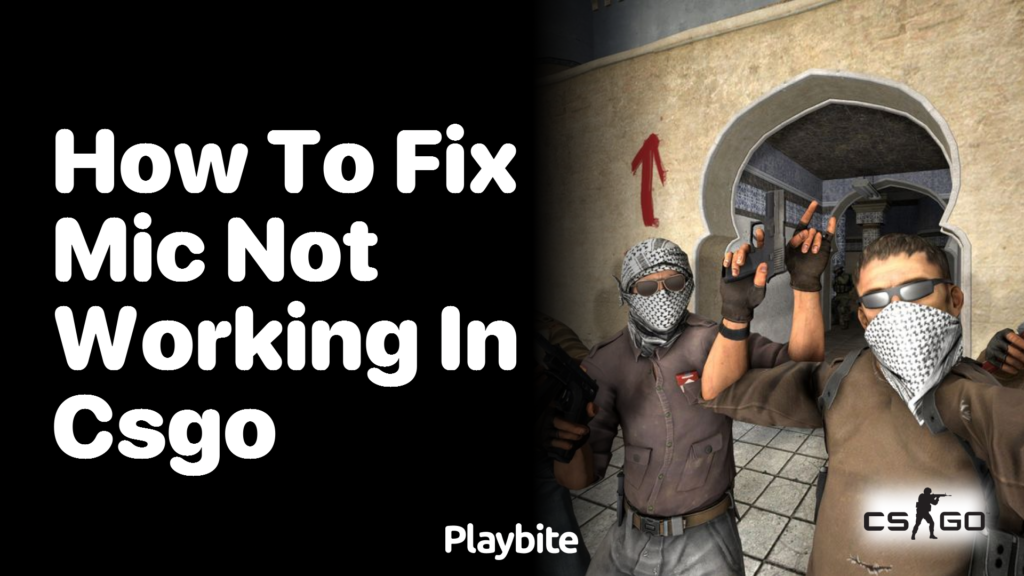 How to Fix Mic Not Working in CS:GO - Playbite