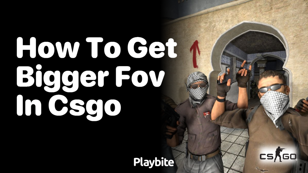 How to Get Bigger FOV in CS:GO - Playbite