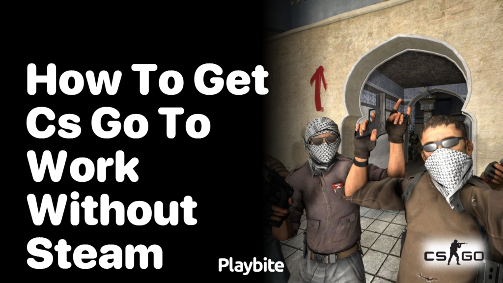How to Get CS GO to Work Without Steam? - Playbite