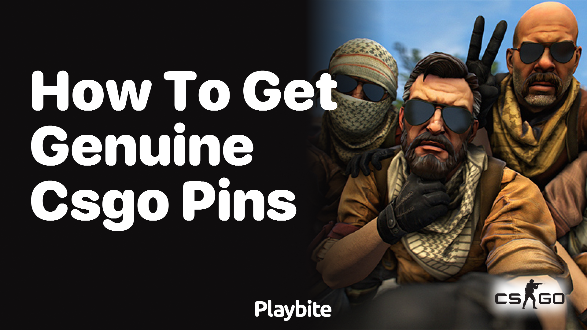 How to Get Genuine CS:GO Pins - Playbite