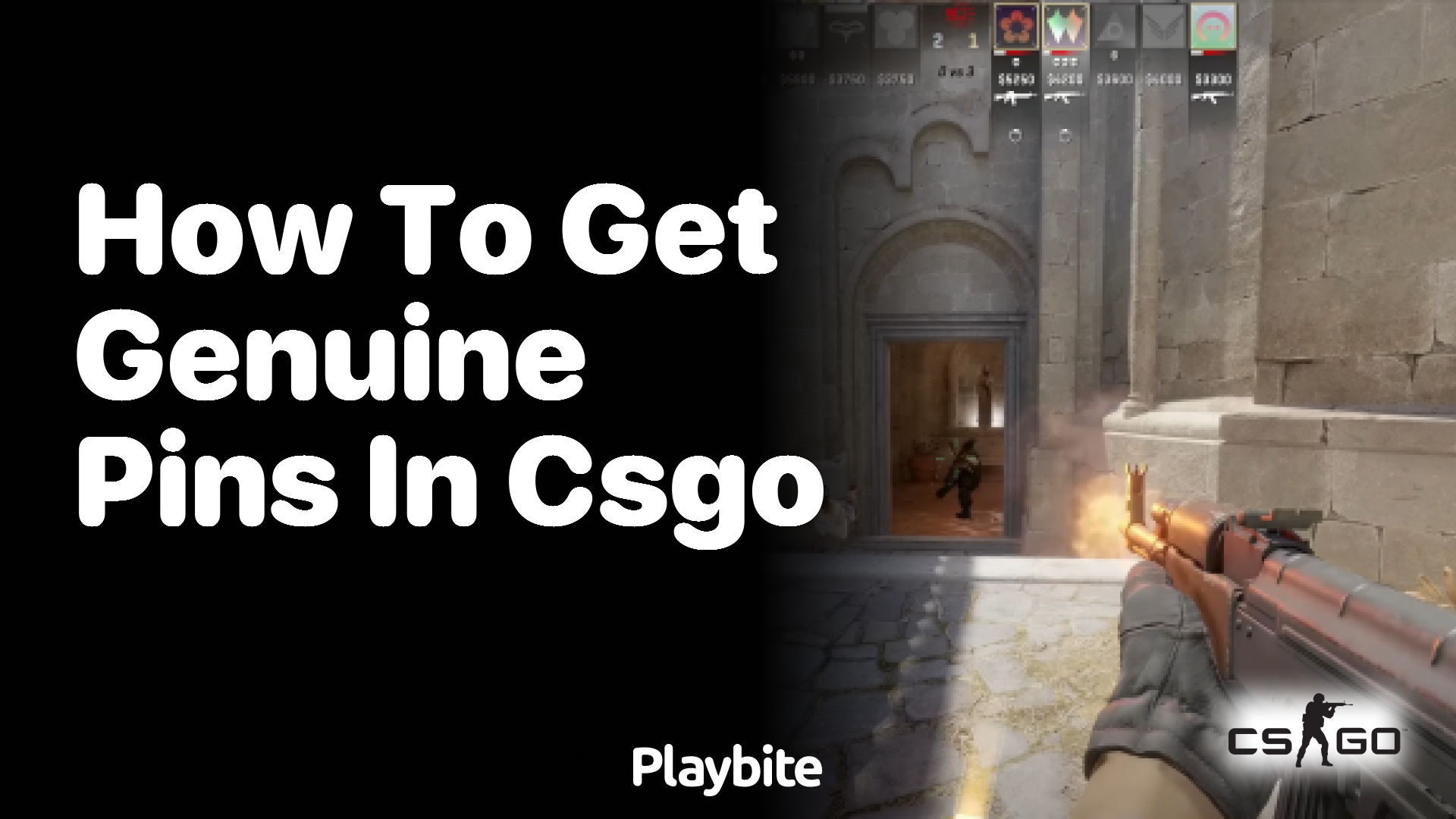 How to get genuine pins in CS:GO - Playbite