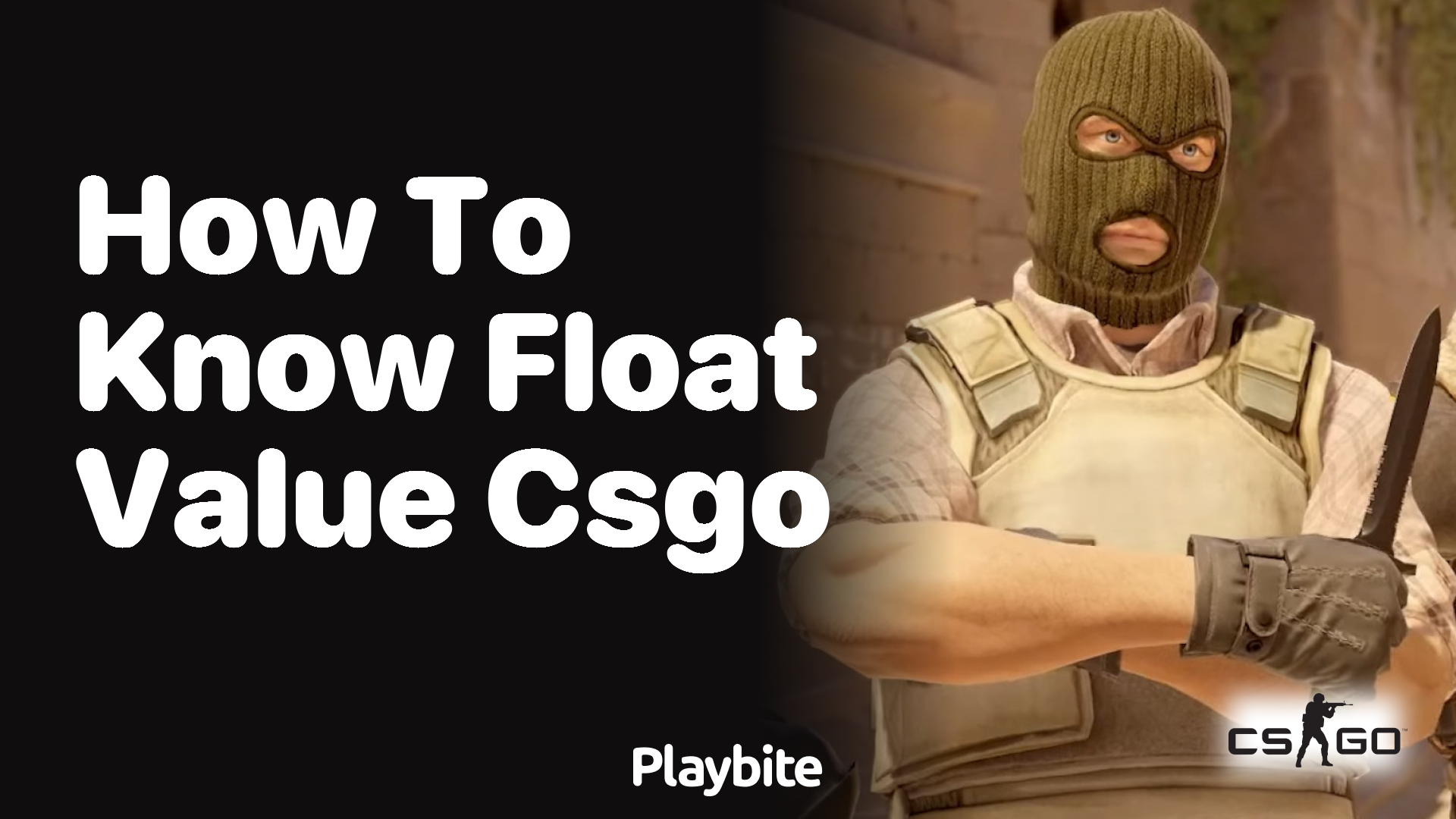 How to know the float value in CS:GO - Playbite