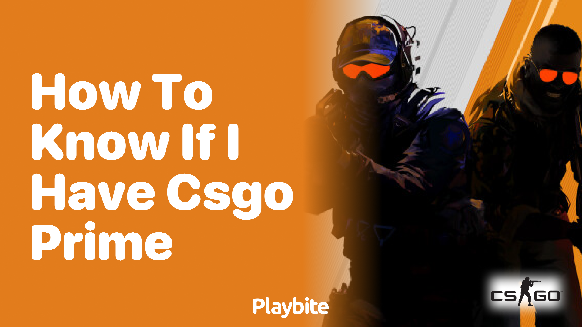 How to Know if You Have CSGO Prime - Playbite