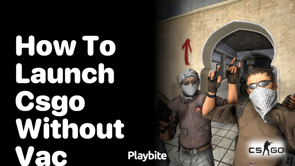 How to launch CS:GO without VAC - Playbite