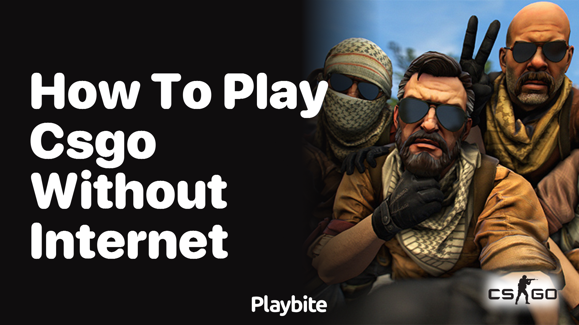 How to play CS:GO without internet - Playbite