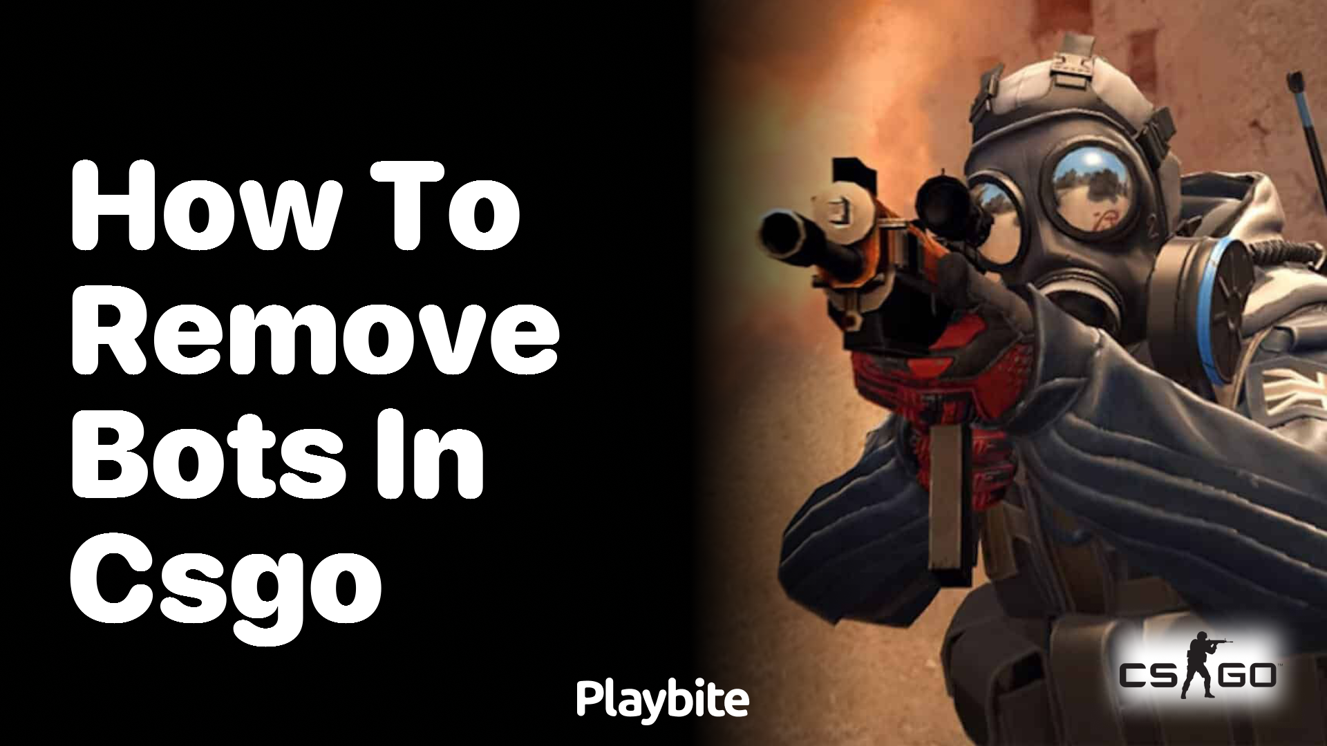 How to remove bots in CSGO - Playbite
