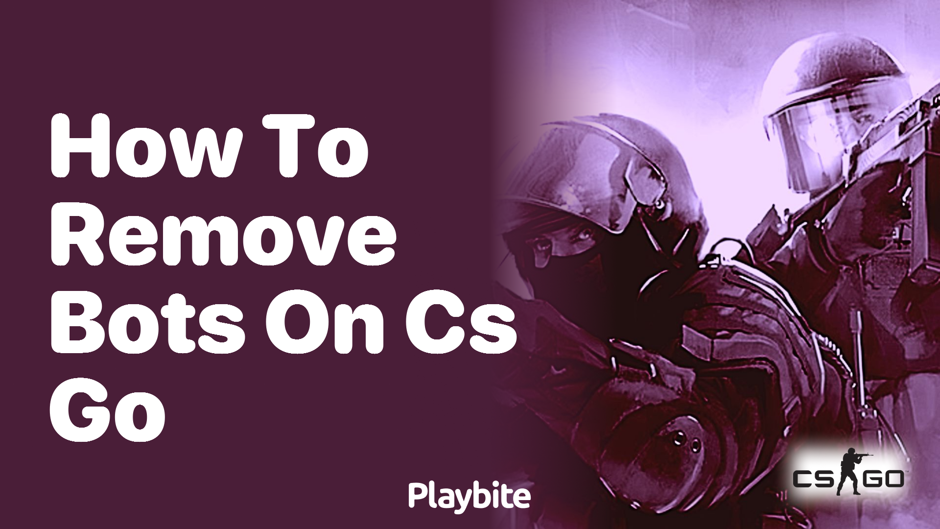 How to Remove Bots on CS:GO - Playbite