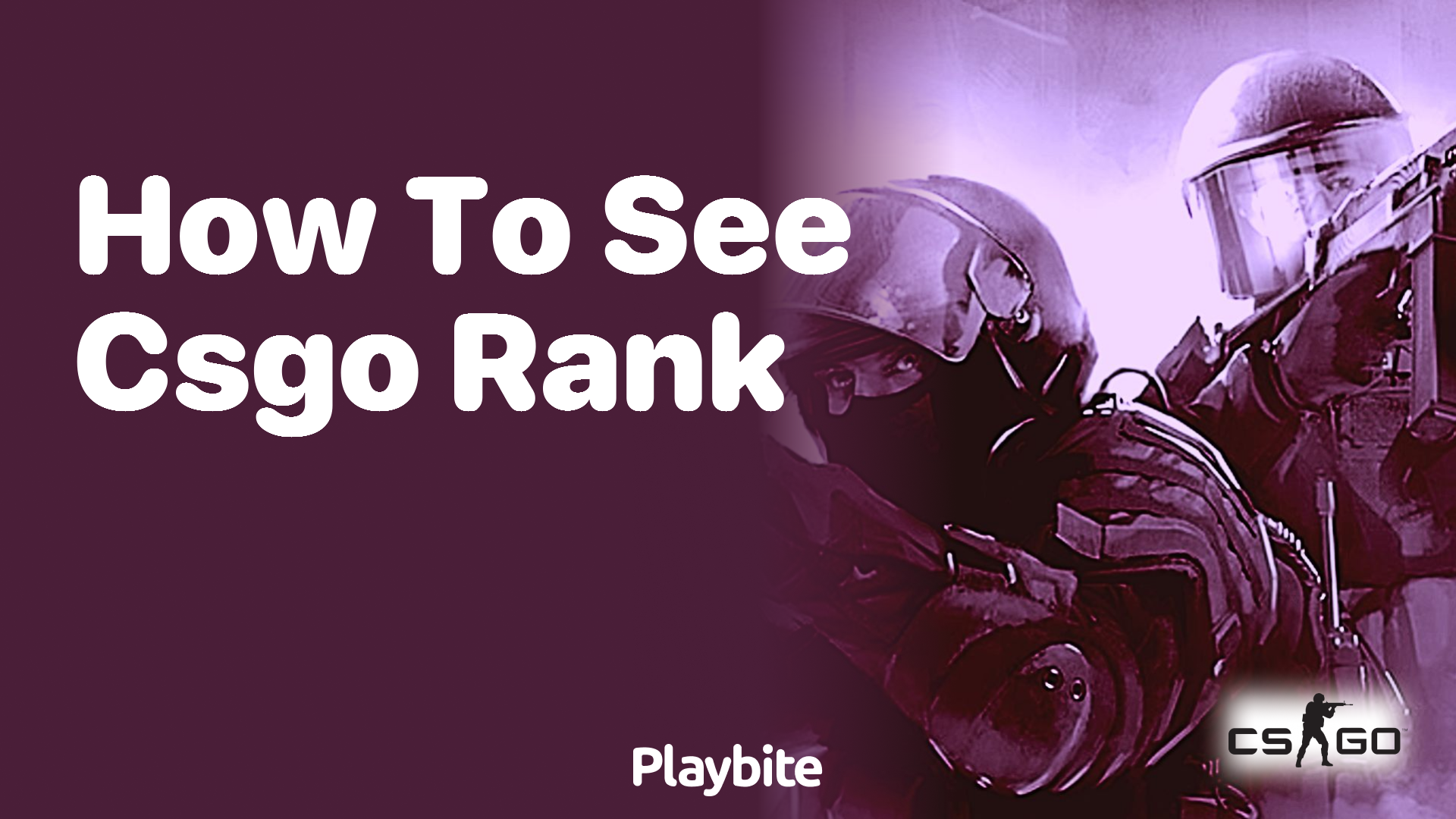 How to see your CS:GO rank - Playbite