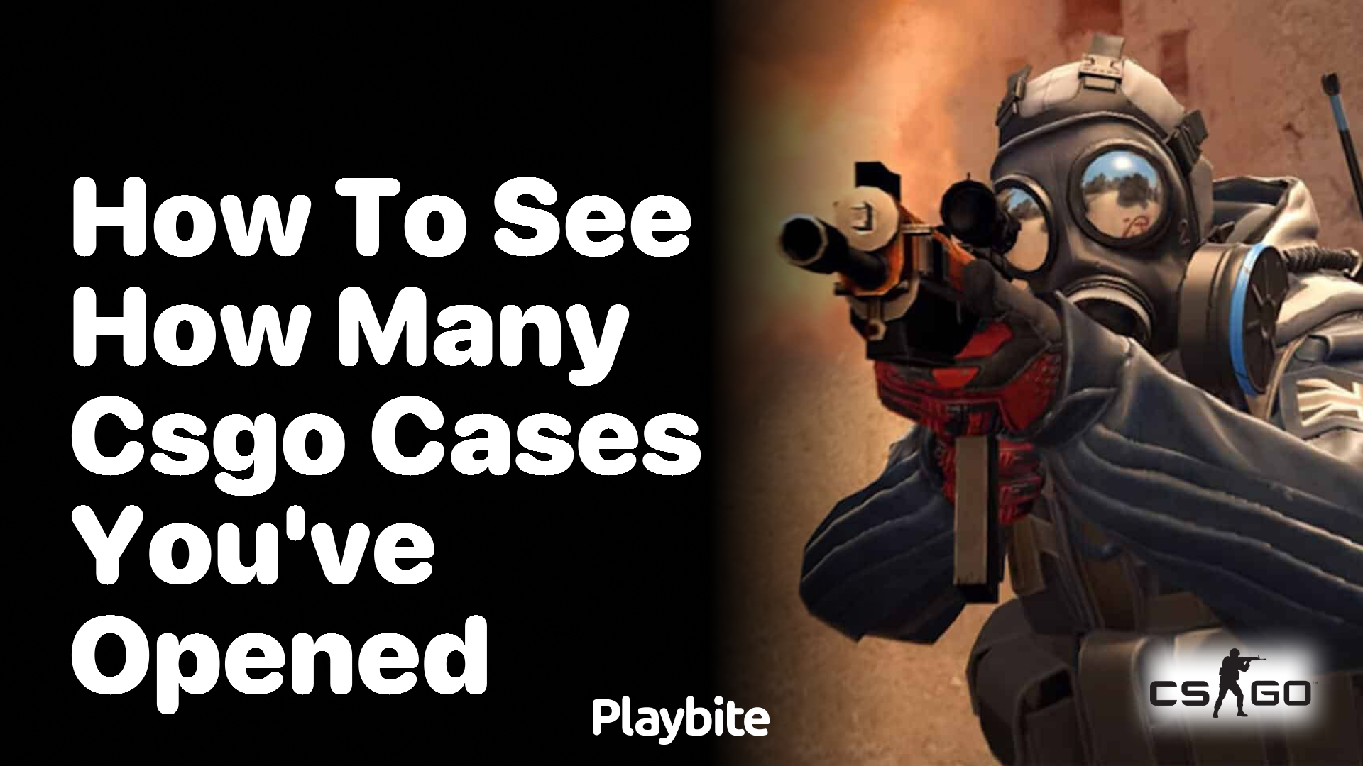 How to see how many CS:GO cases you've opened - Playbite