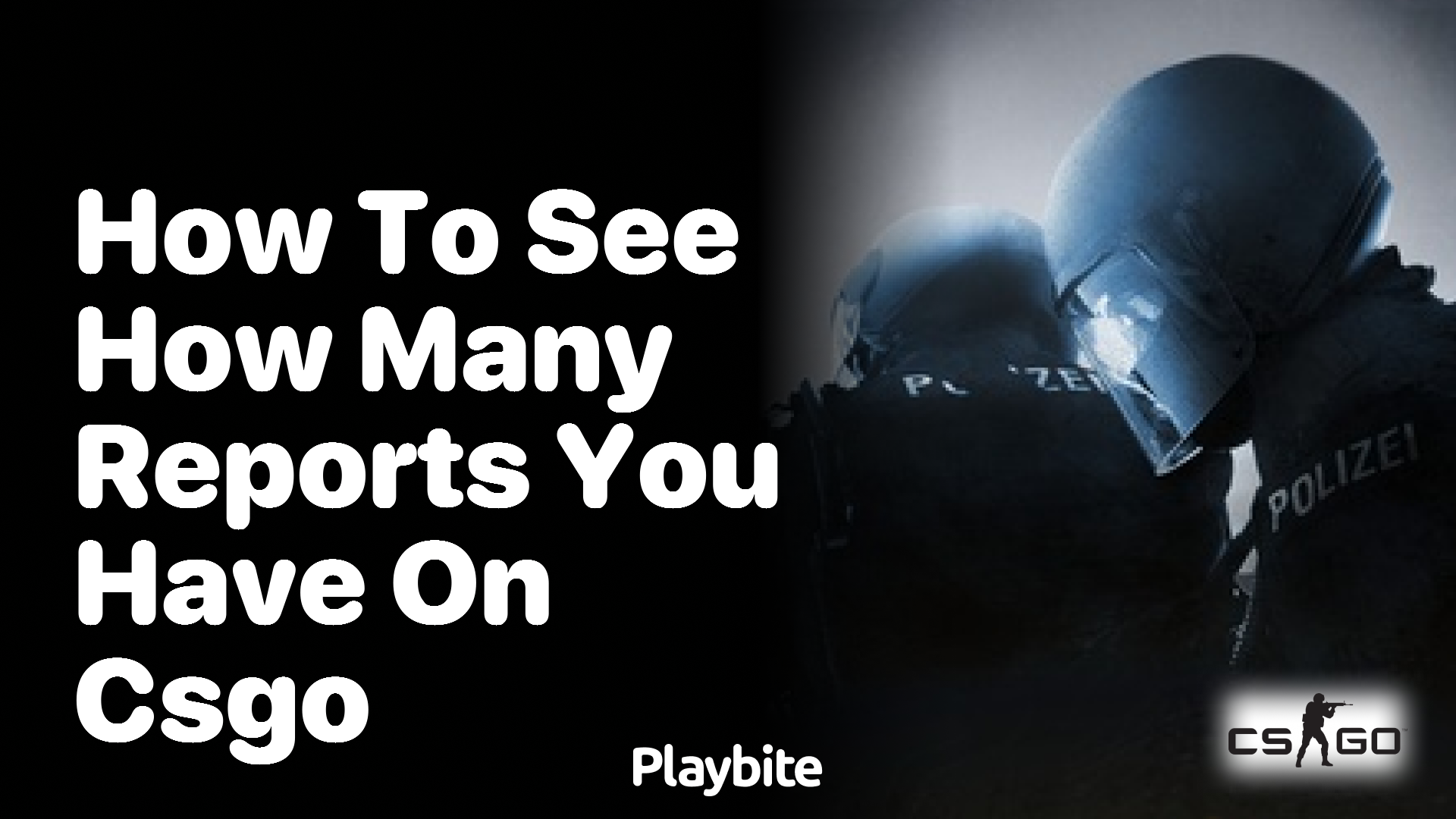 How to see how many reports you have on CSGO - Playbite