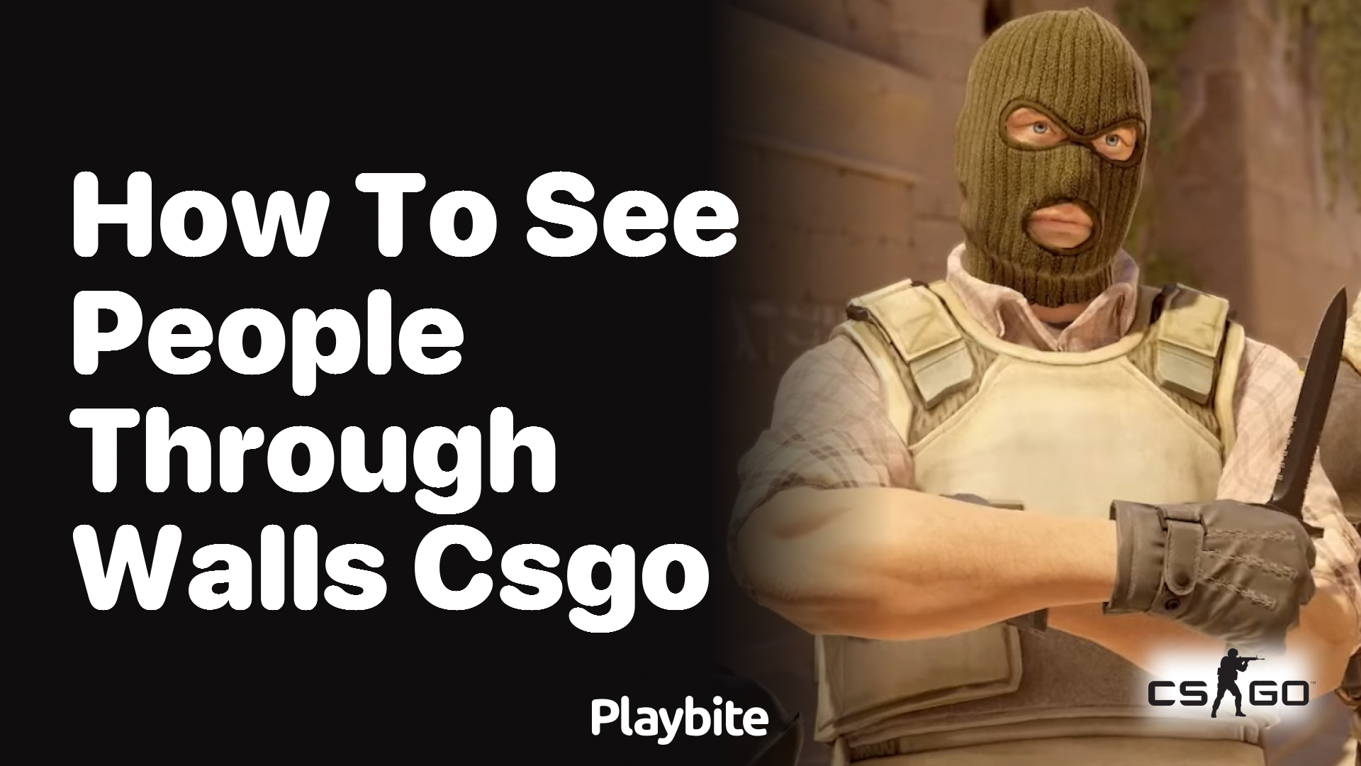 How to see people through walls in CS:GO? - Playbite