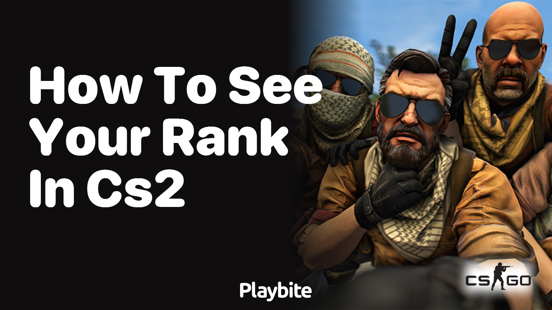 How to see your rank in CS2 - Playbite