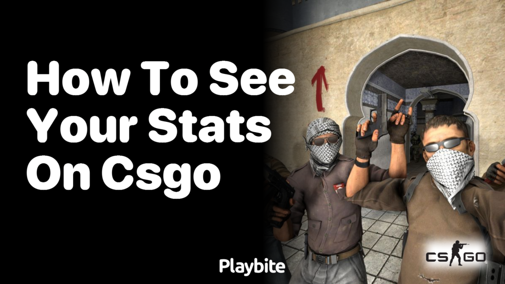 How to see your stats on CS:GO - Playbite