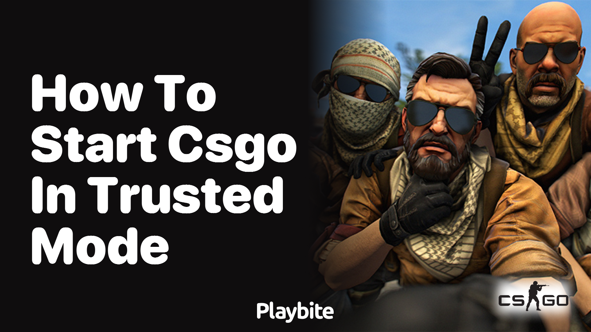 How to Start CS:GO in Trusted Mode - Playbite
