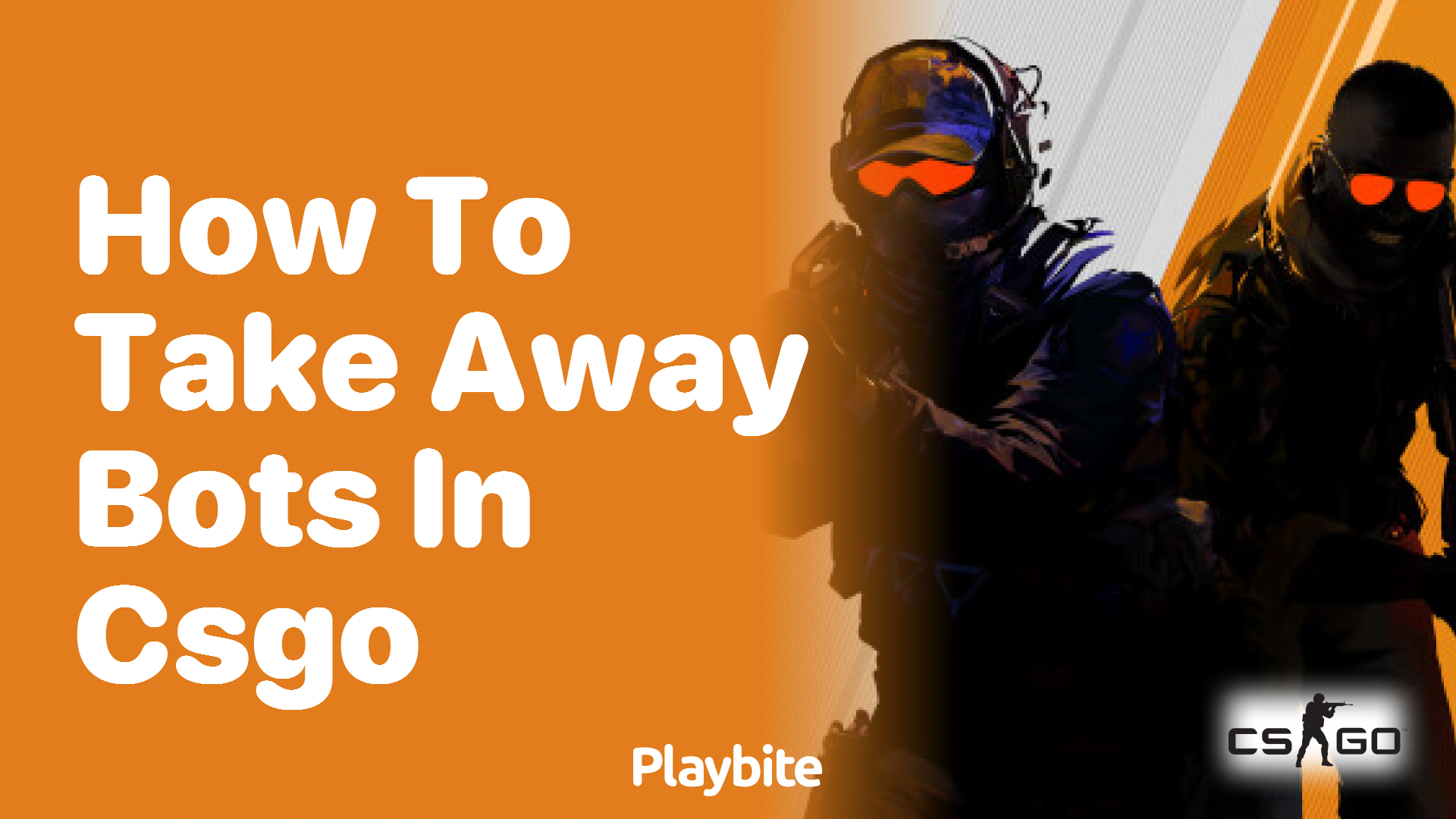 How to remove bots in CS:GO - Playbite