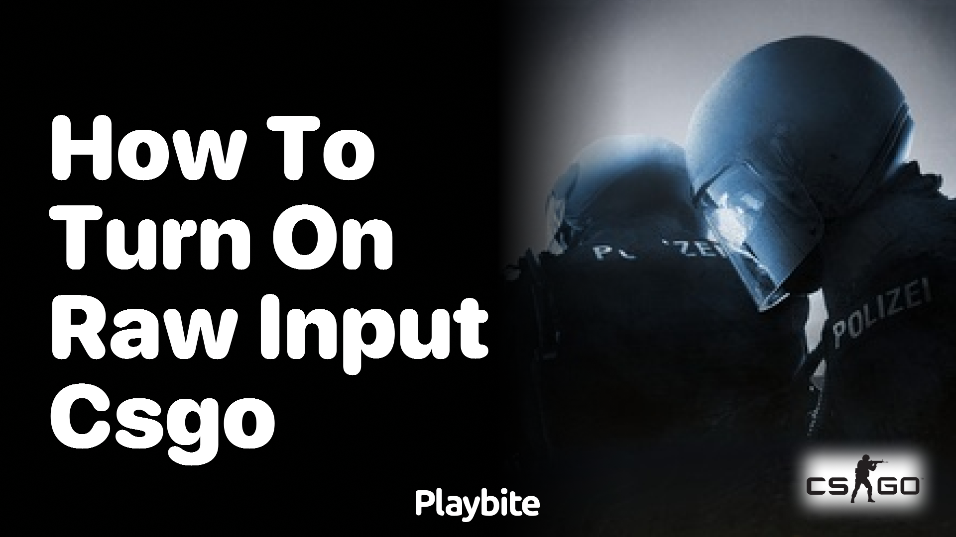 How to turn on raw input in CS:GO - Playbite