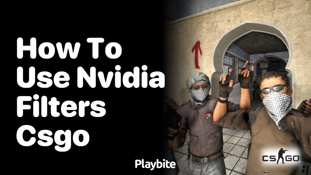 How to Use Nvidia Filters in CS:GO - Playbite