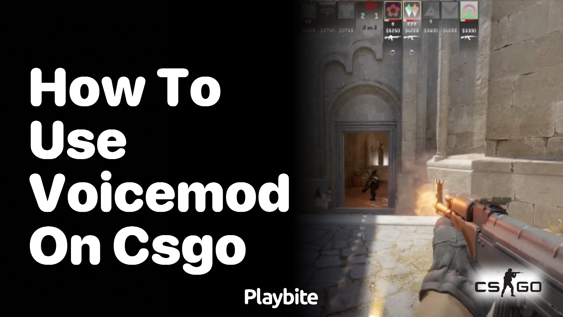 How to use Voicemod on CS:GO - Playbite