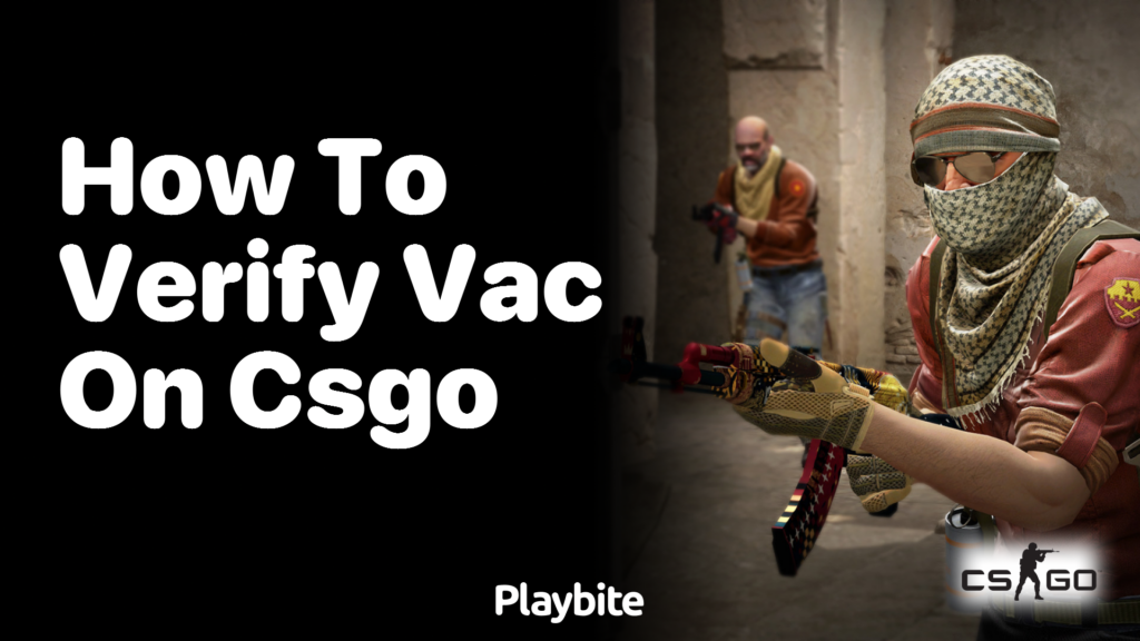 How to verify VAC on CSGO - Playbite