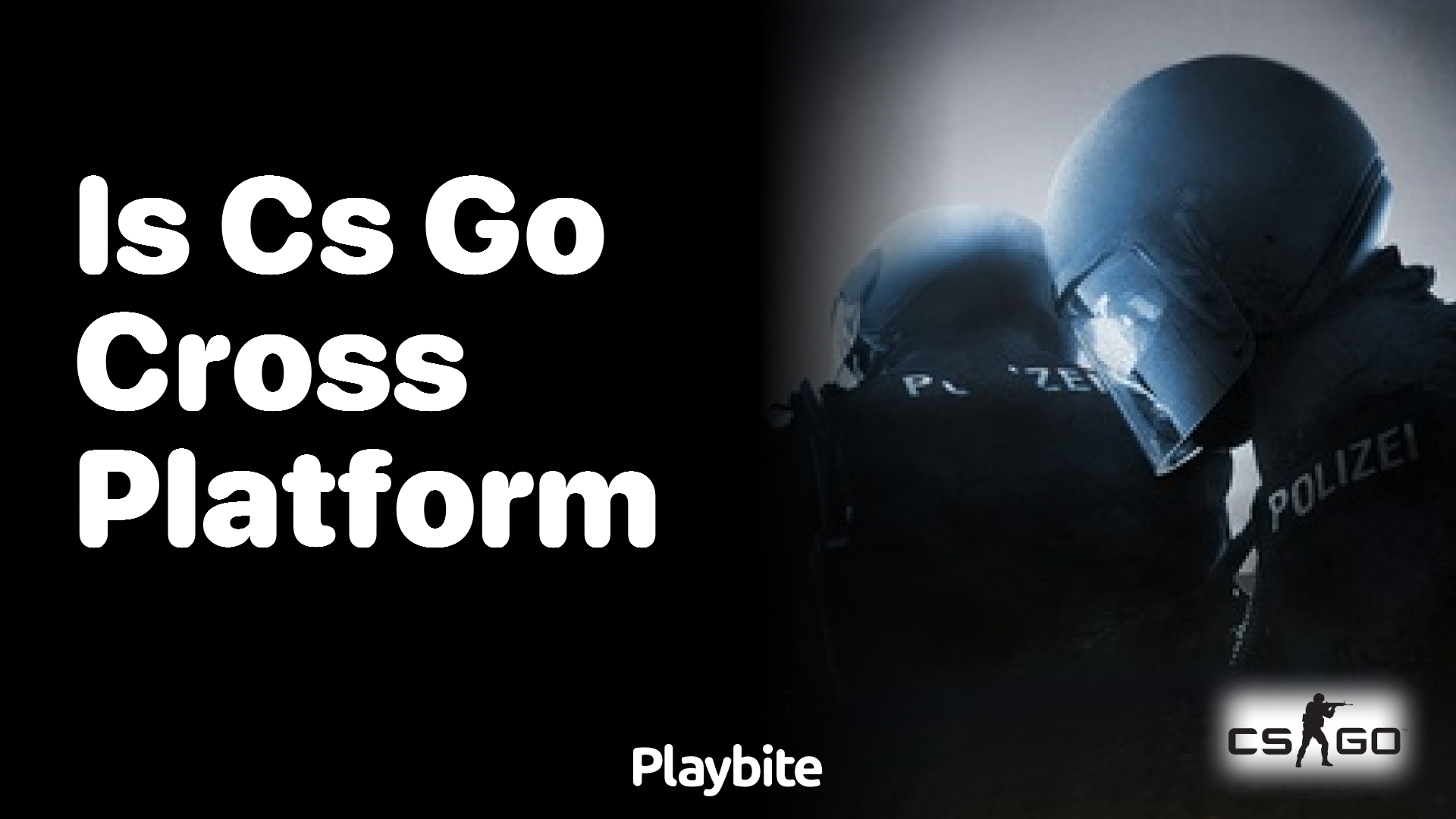 Is CS:GO Cross-Platform? - Playbite