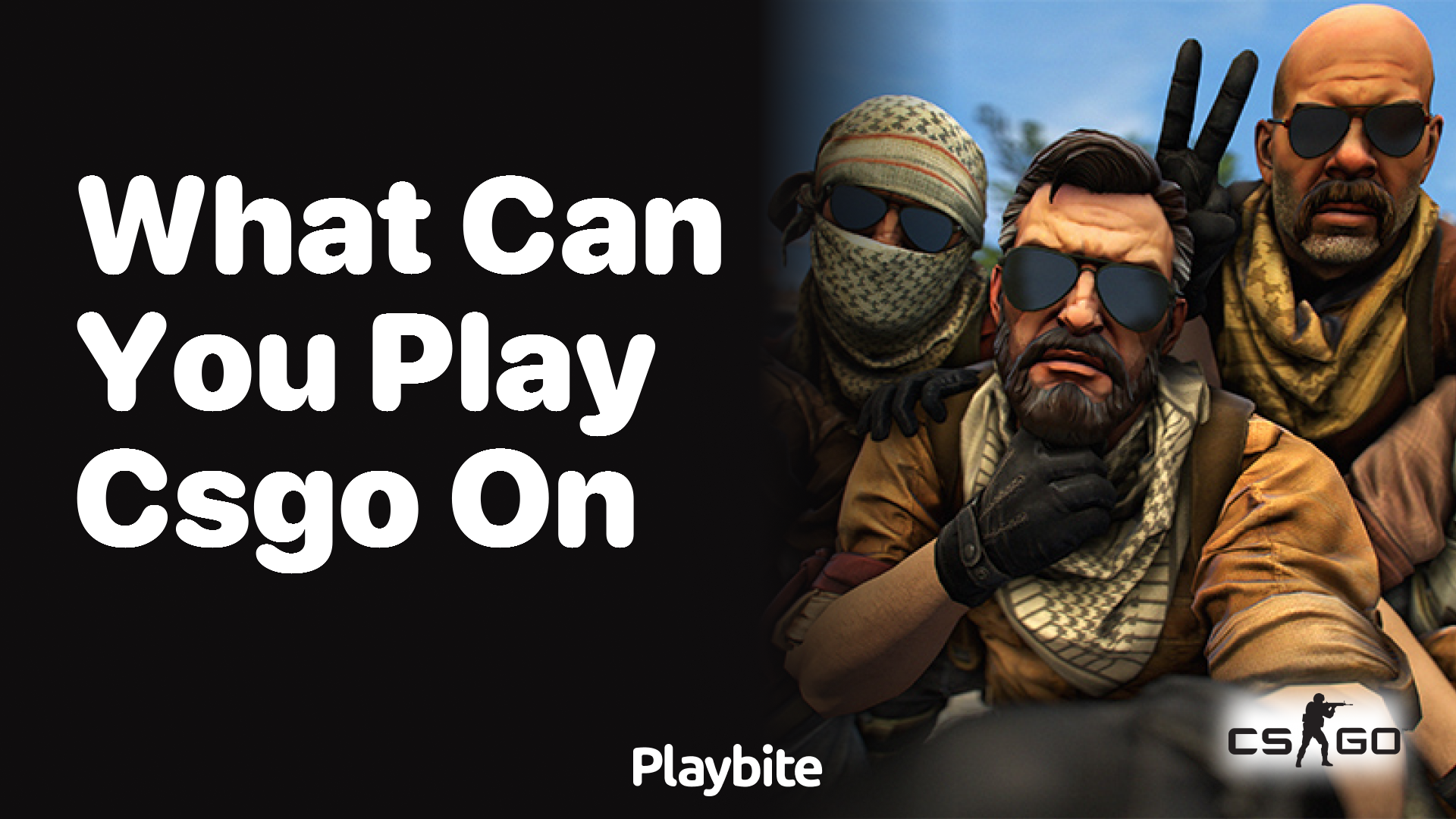What can you play CS:GO on? - Playbite
