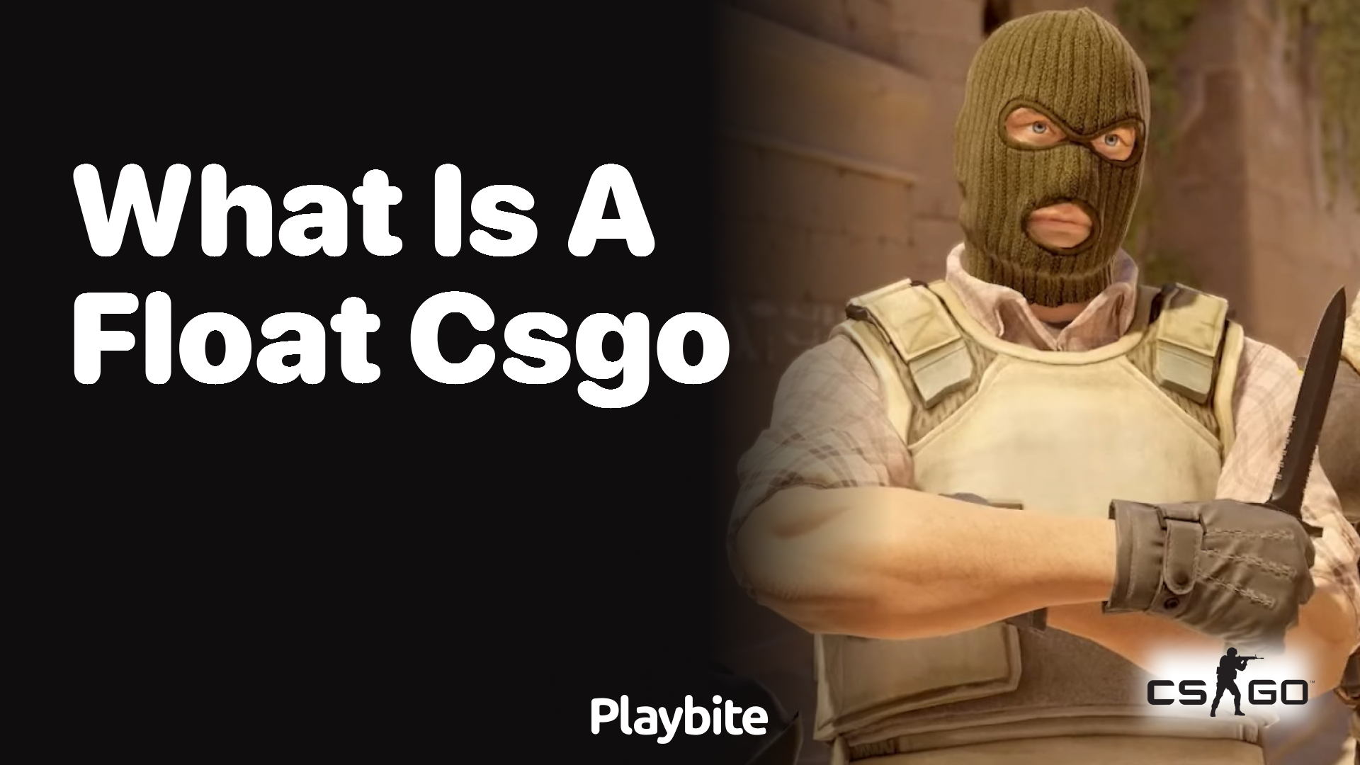 What is a float in CS:GO? - Playbite