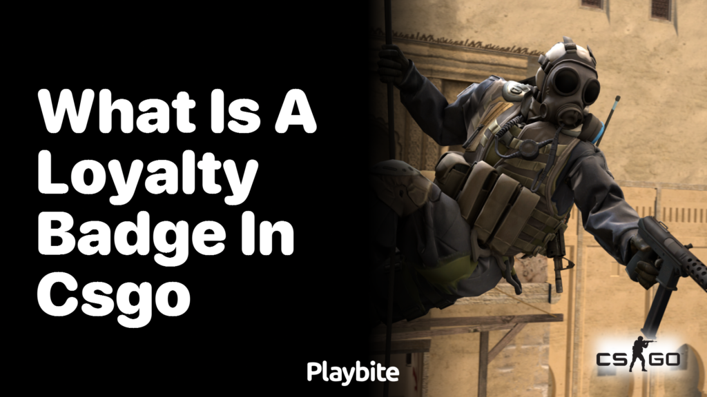 What is a Loyalty Badge in CS:GO? - Playbite