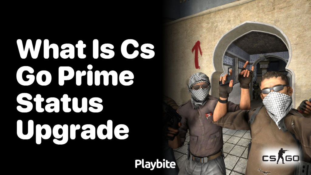 What is CS:GO Prime Status Upgrade? - Playbite