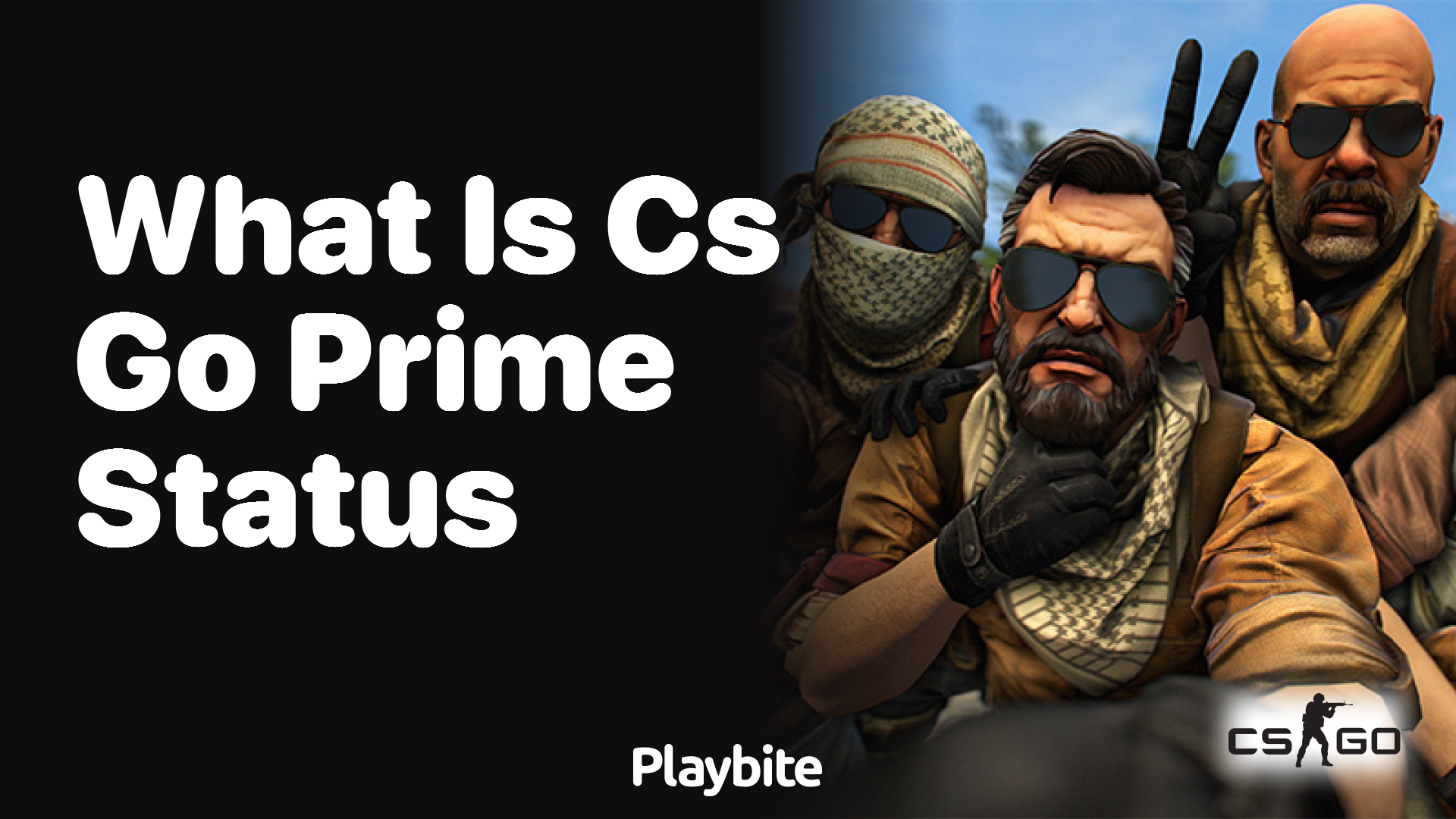 What is CS:GO Prime Status? - Playbite