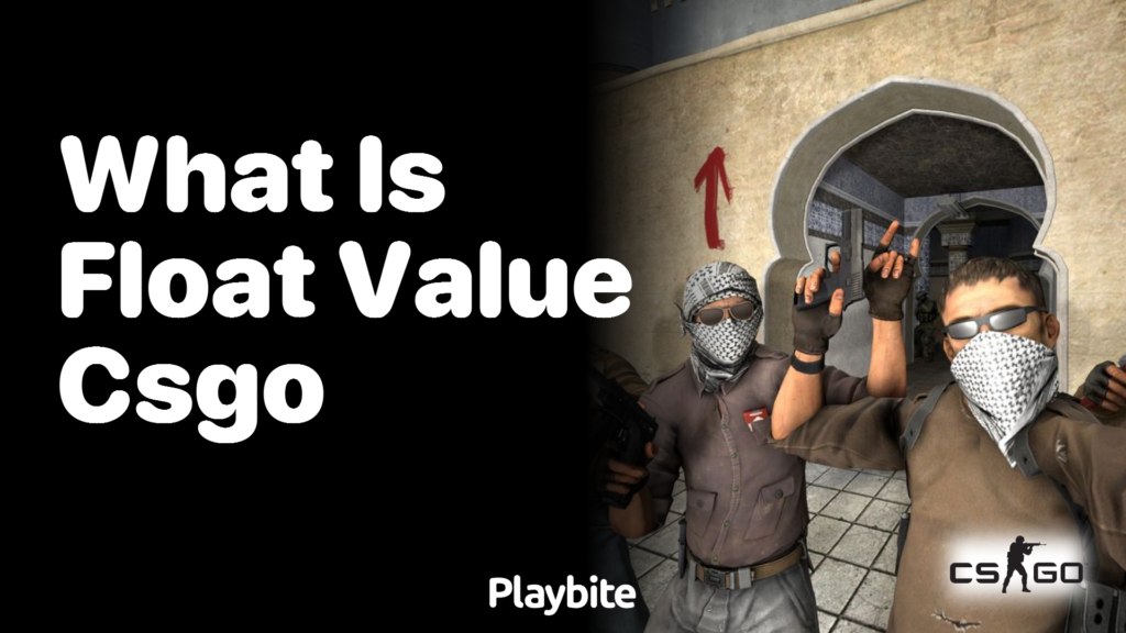 What is float value in CS:GO? - Playbite
