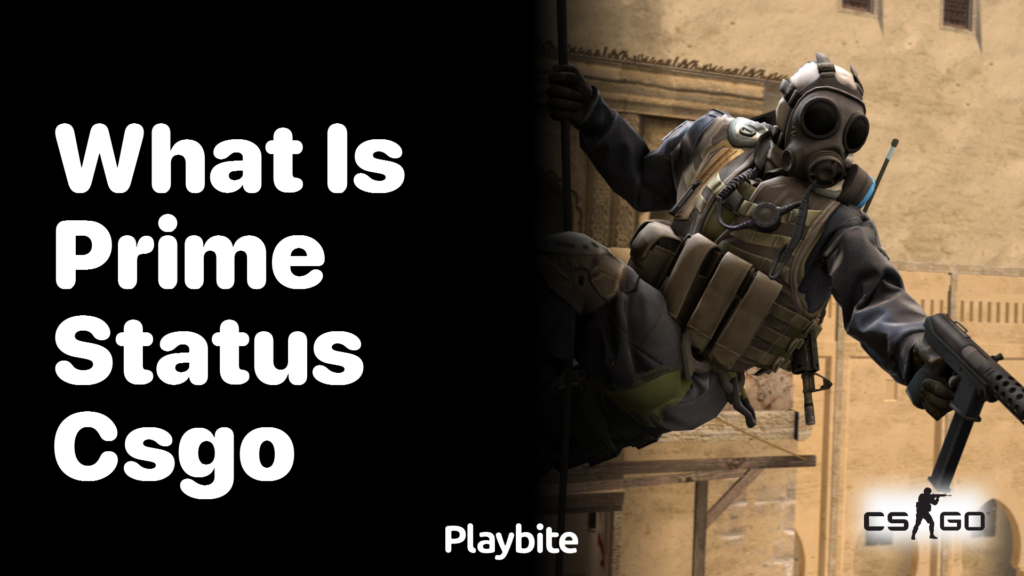 What is Prime Status in CS:GO? - Playbite