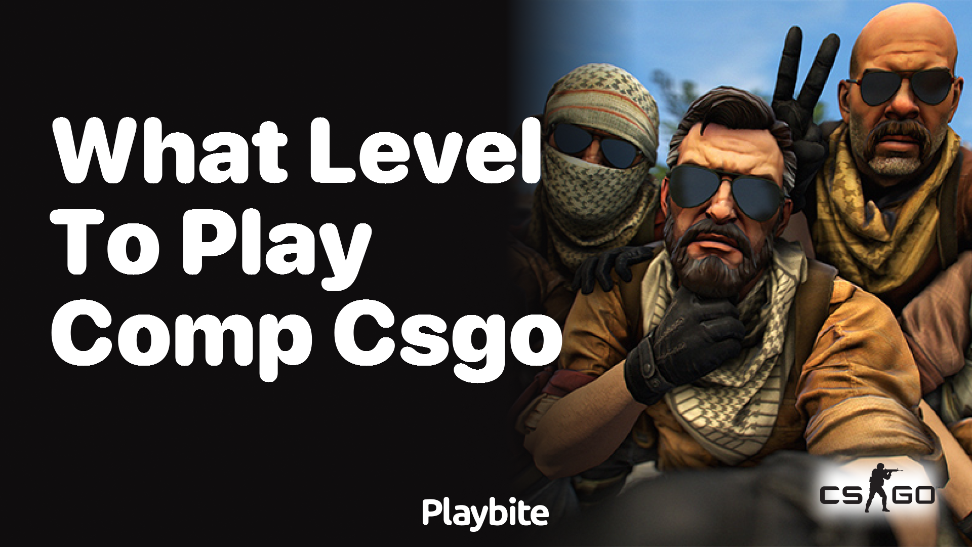 What level do you need to be to play competitive CS:GO? - Playbite