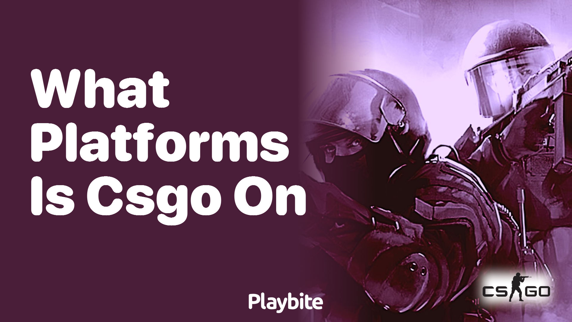 What platforms can you play CS:GO on? - Playbite
