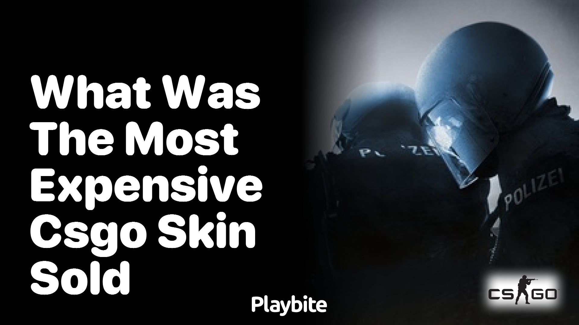 What was the most expensive CS:GO skin sold? - Playbite