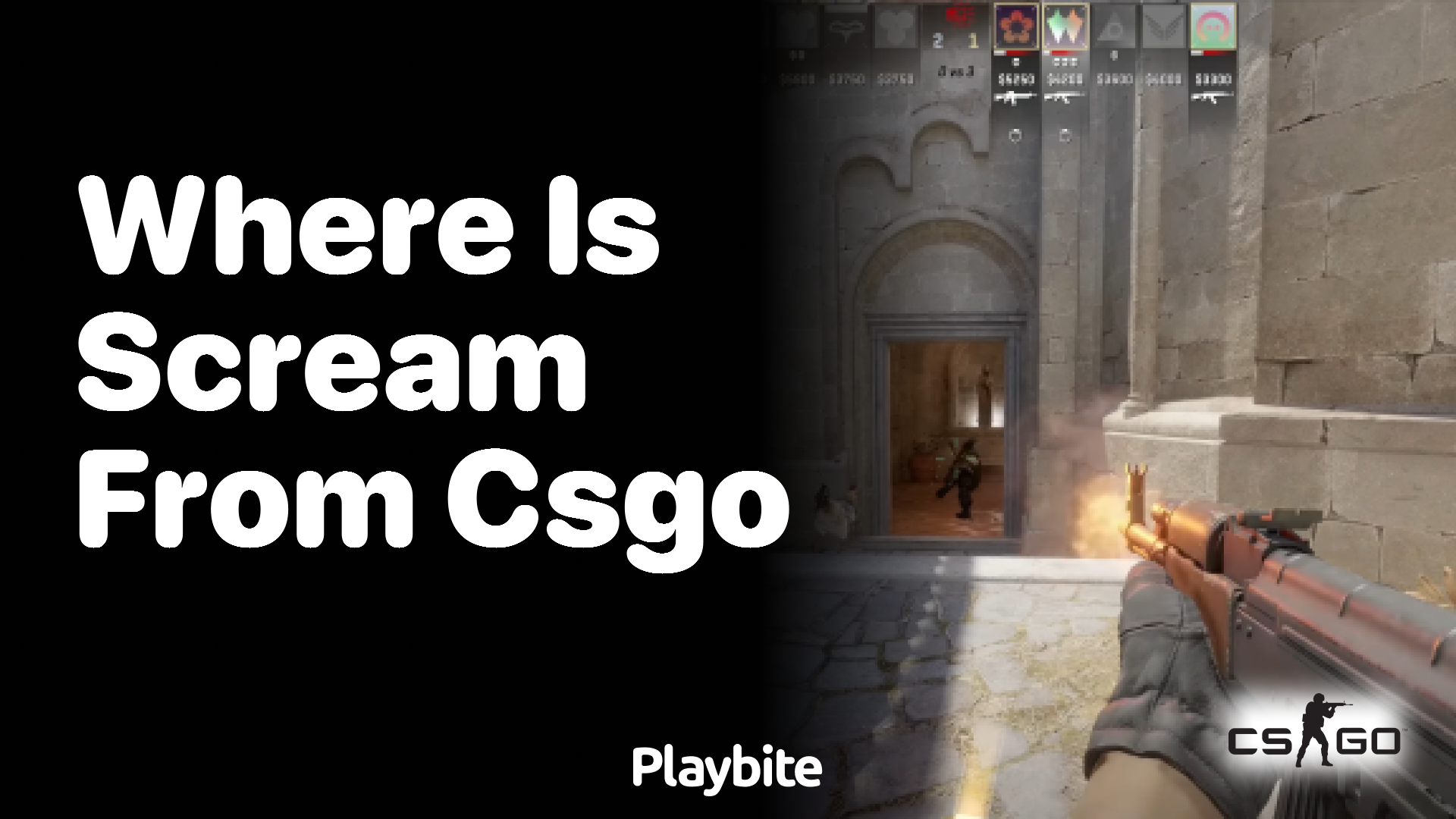 Where is ScreaM from in CS:GO? - Playbite