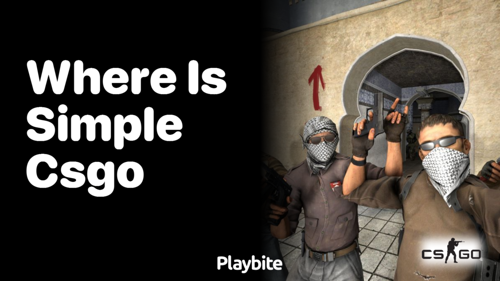 Where is s1mple in CS:GO? - Playbite