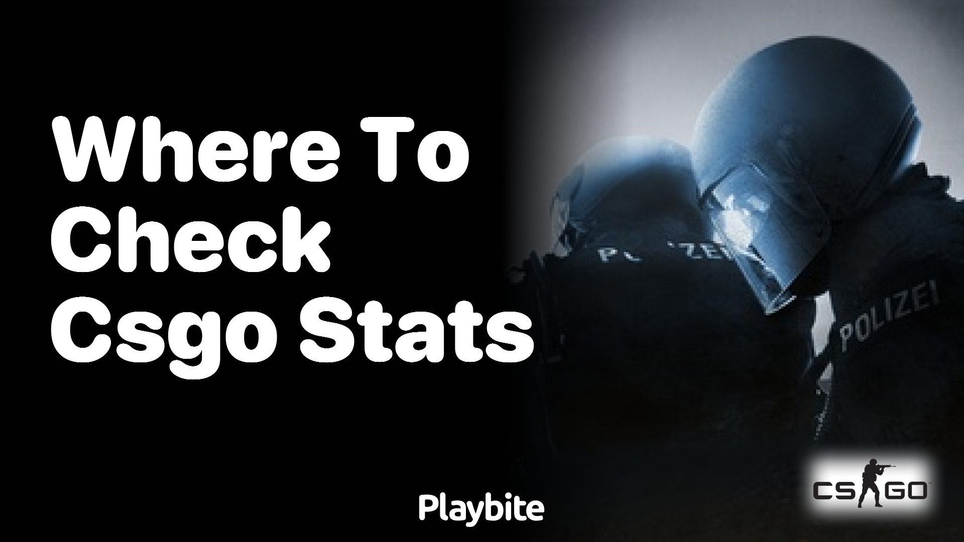 Where to check CS:GO stats - Playbite