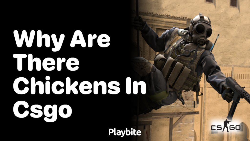 Why are there chickens in CS:GO? - Playbite