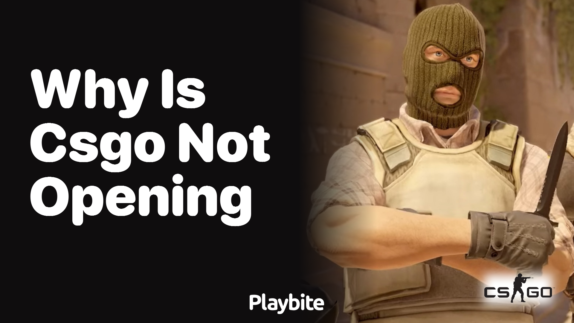 Why is CS:GO not opening? - Playbite