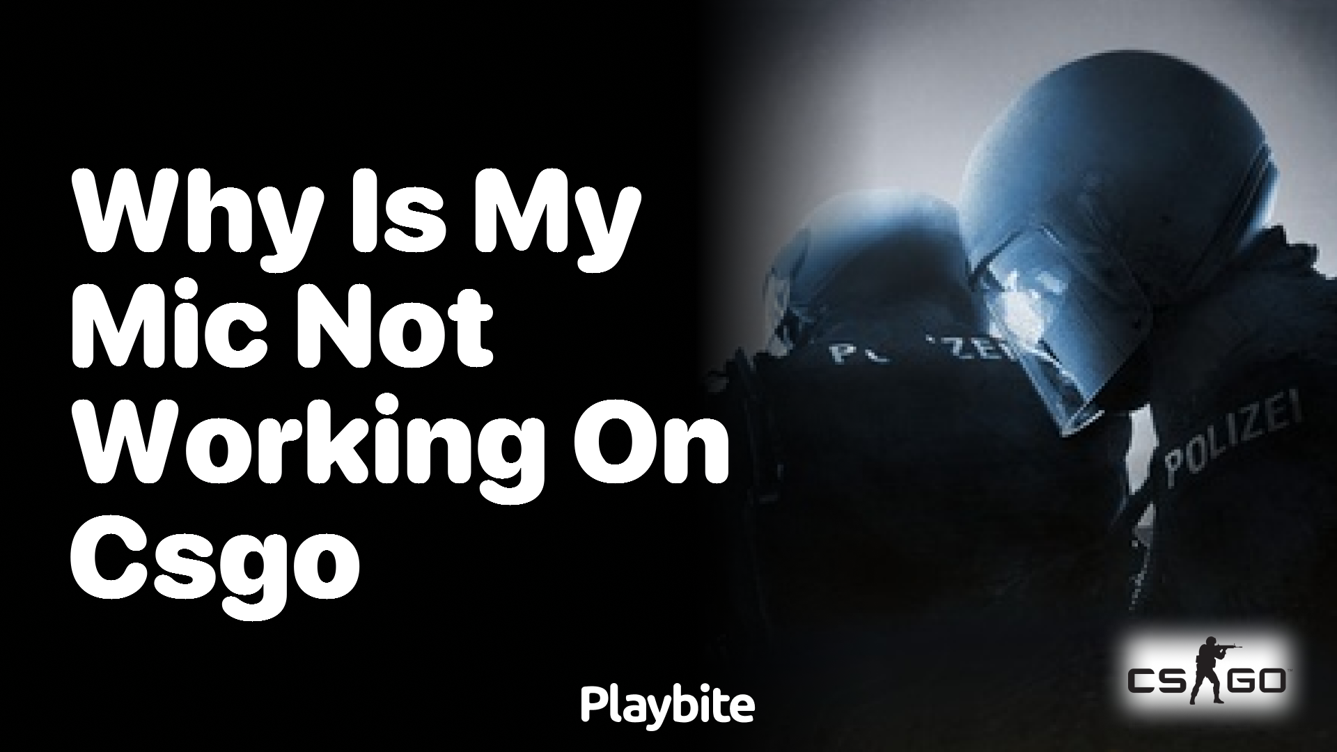 Why is my mic not working on CS:GO? - Playbite
